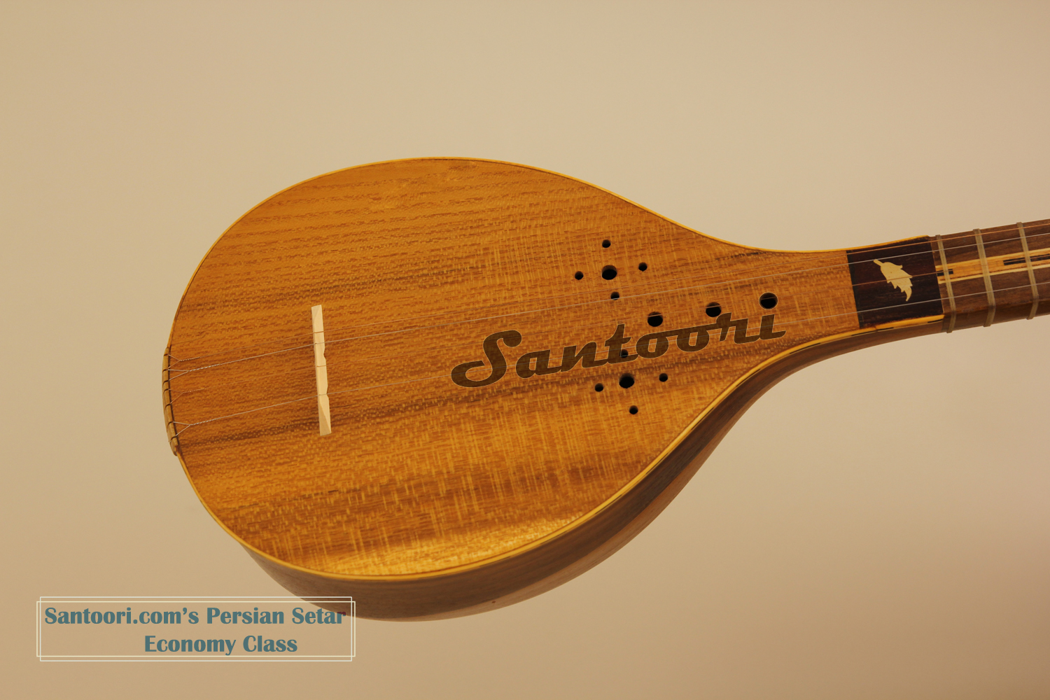 Persian professional Setar for sale - Persian Setar Online Lessons