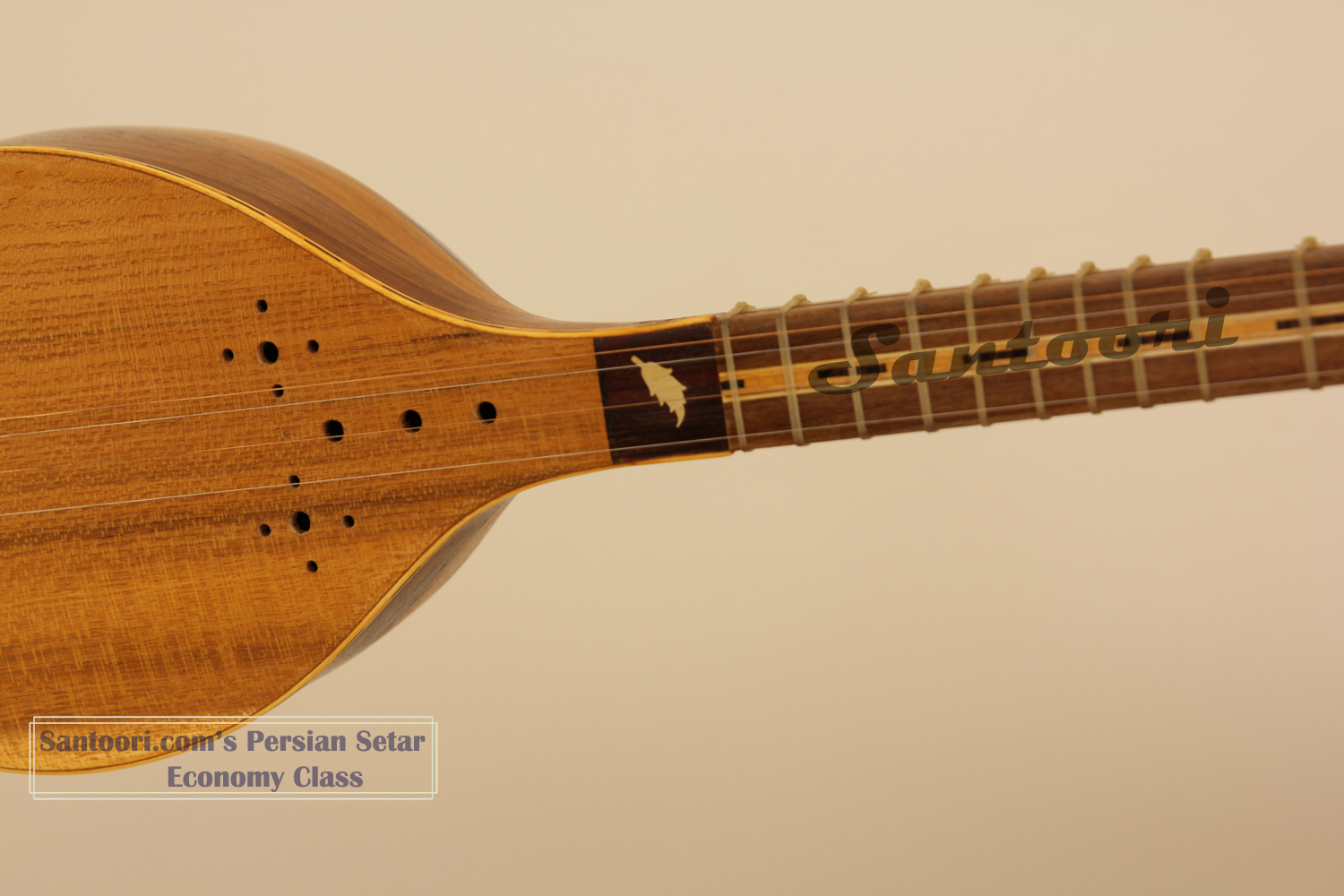 Persian professional Setar for sale - Persian Setar Online Lessons